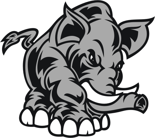 Riddell :: Online Screenprint & Mascot Guide