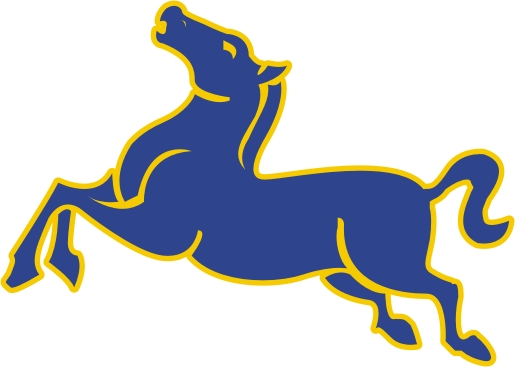 Riddell :: Online Screenprint & Mascot Guide