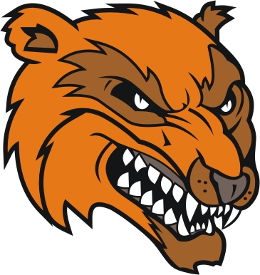 Riddell :: Online Screenprint & Mascot Guide